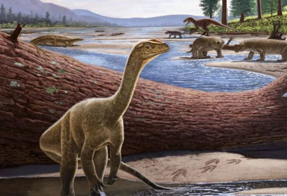 Fósseis dos dinossauros mais antigos da África são encontrados