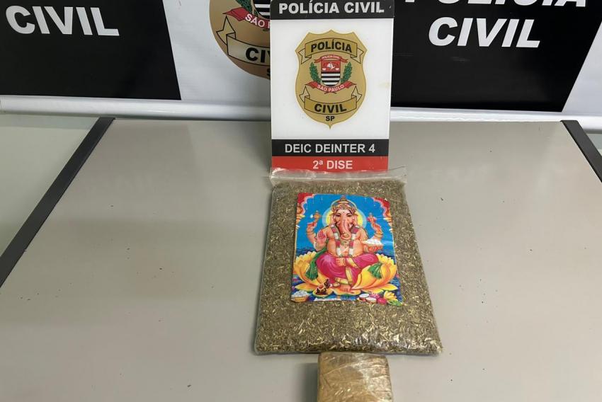 Polícia Civil faz a primeira apreensão em Bauru de K9, conhecida por ...