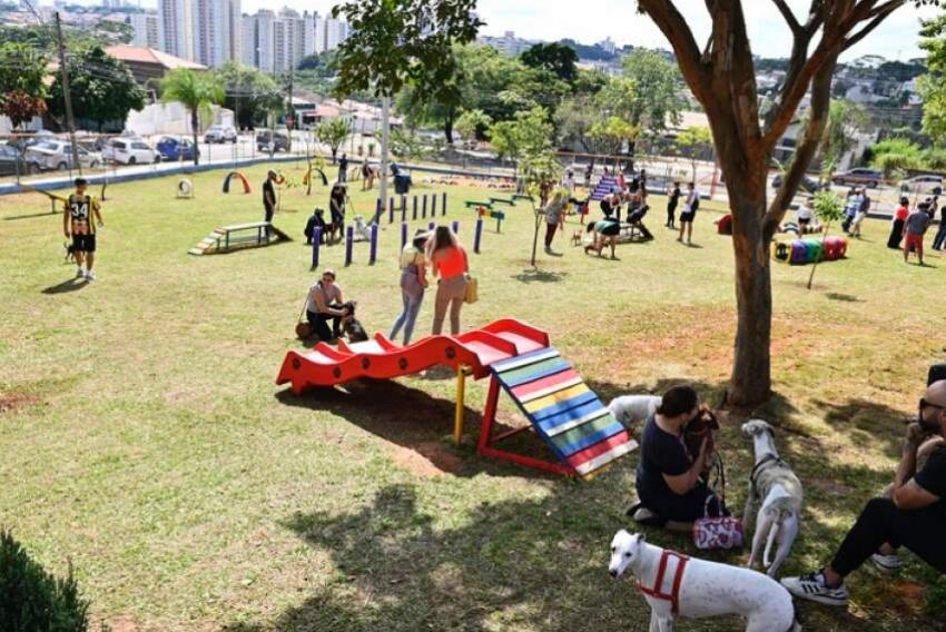 Campinas planeja aumentar número de ‘Parcões’ para cachorros em 2024