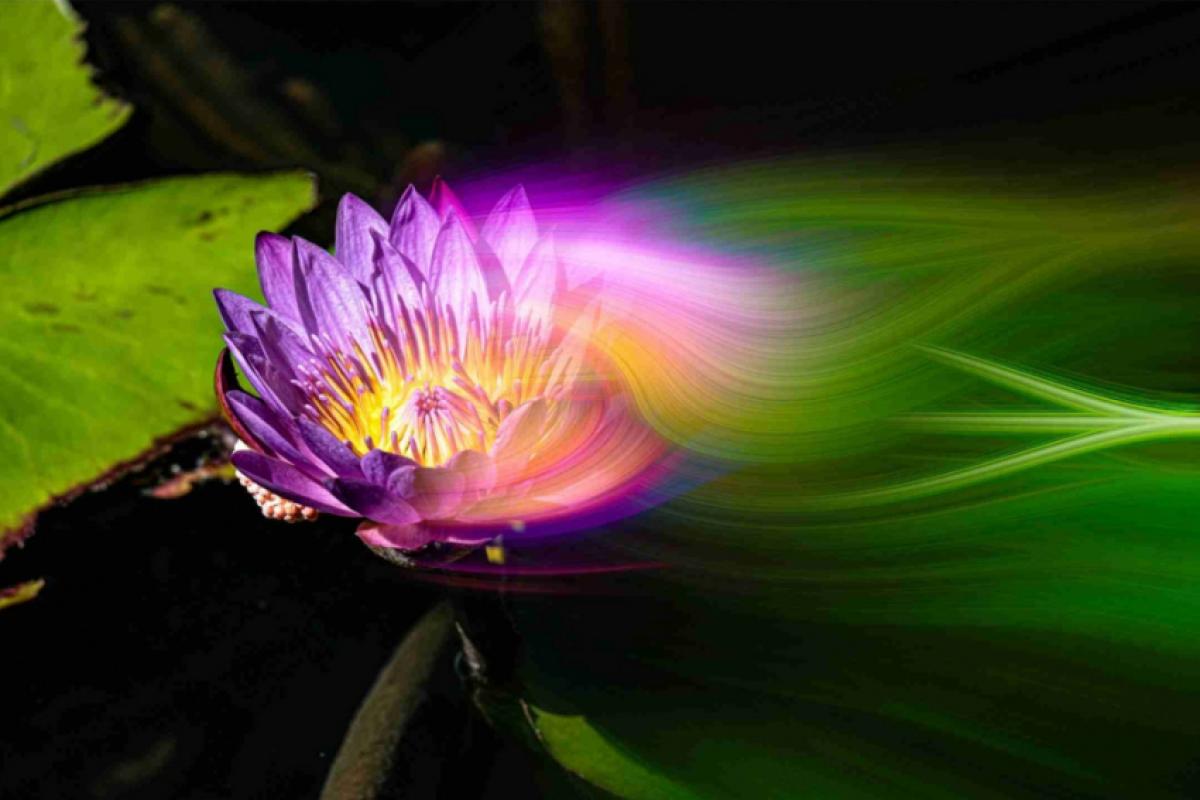 ‘Viva Terra, Viva!’: Exposição fotográfica, no Jardim Botânico