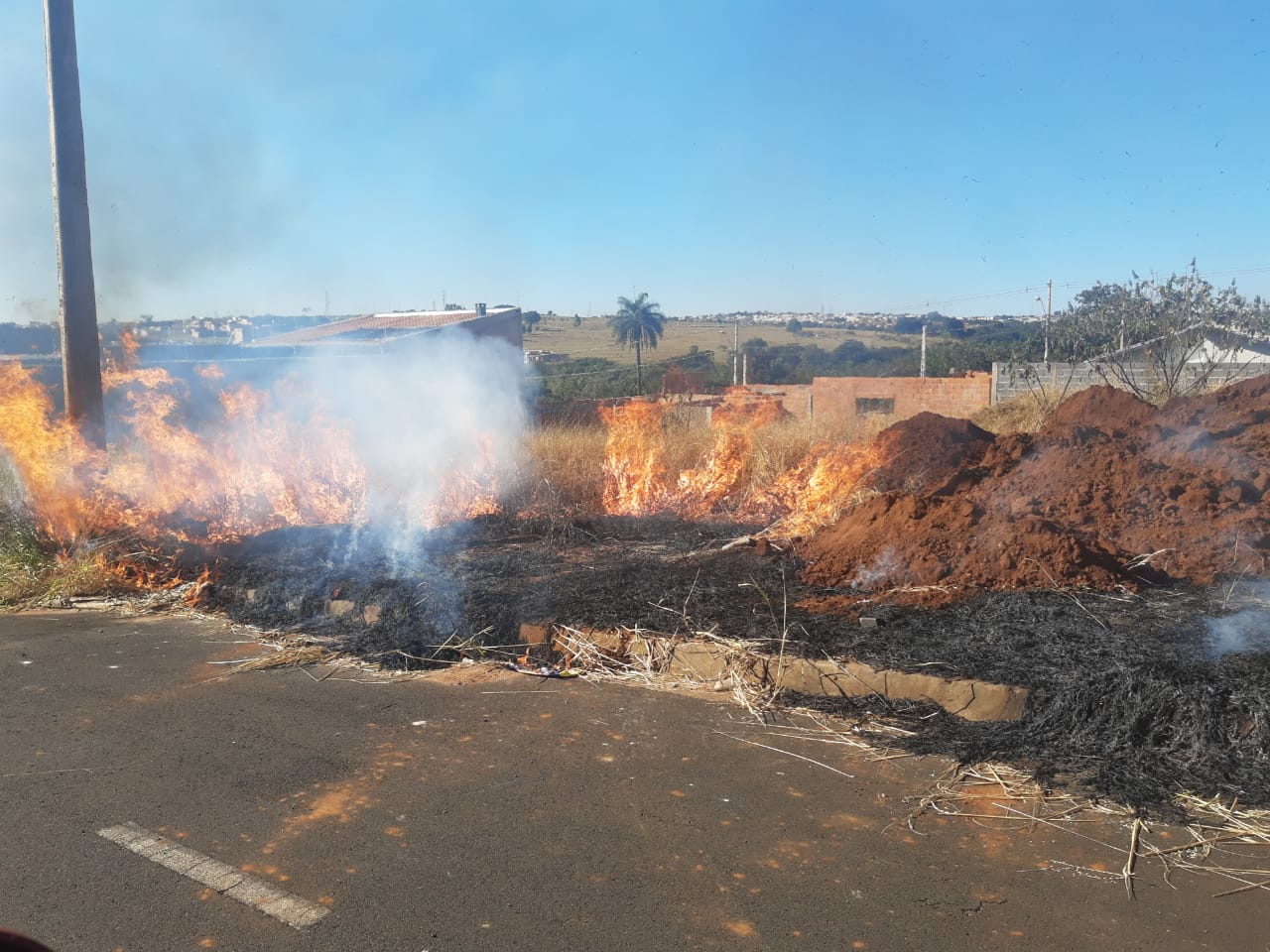 Incêndios consomem área de mata e terreno em extremos de Franca