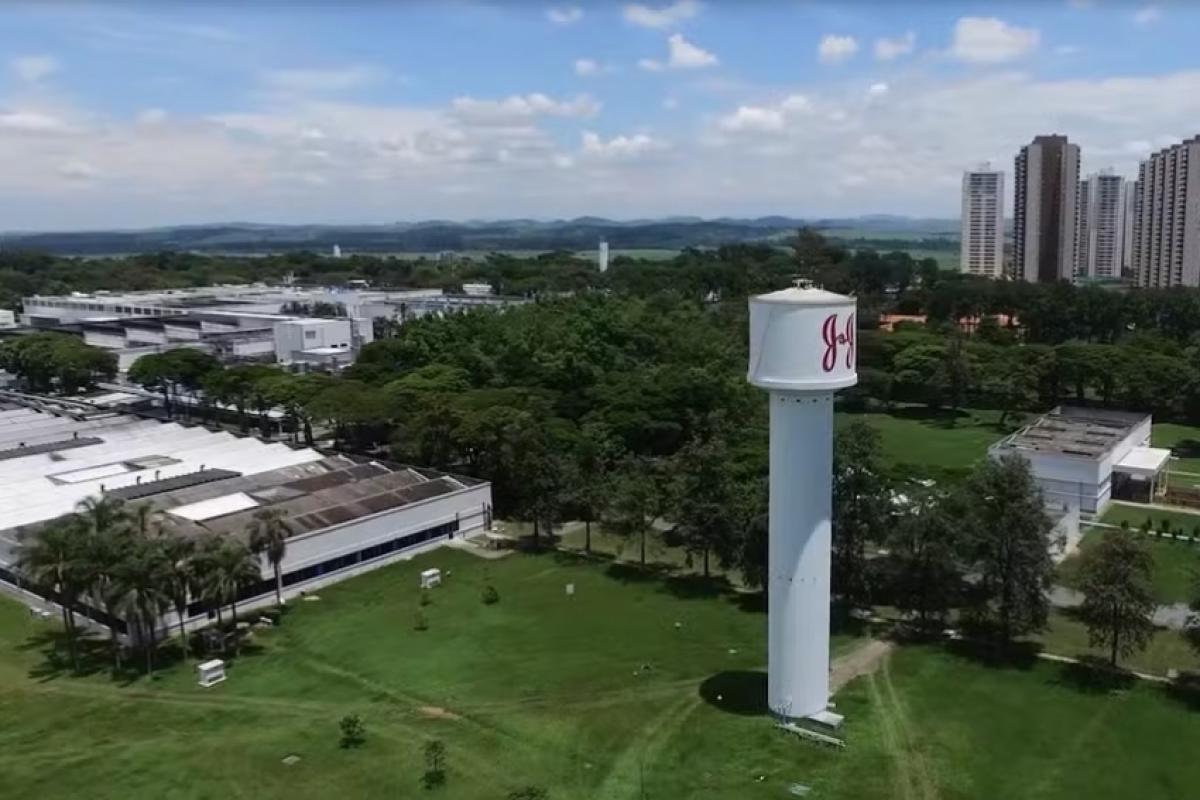 Funcionário usa ônibus interno após empresa avistar felino em SJC