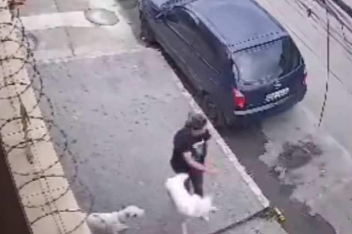 Pitbulls avançam em mulher que caminhava pela rua; VÍDEO