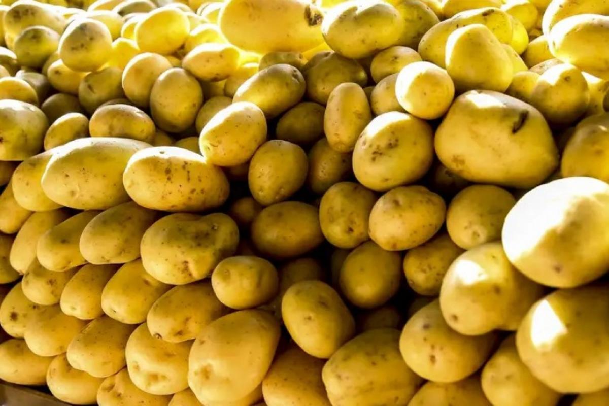 Vilã do mês, batata sobe 70% e comer fica mais caro em Campinas